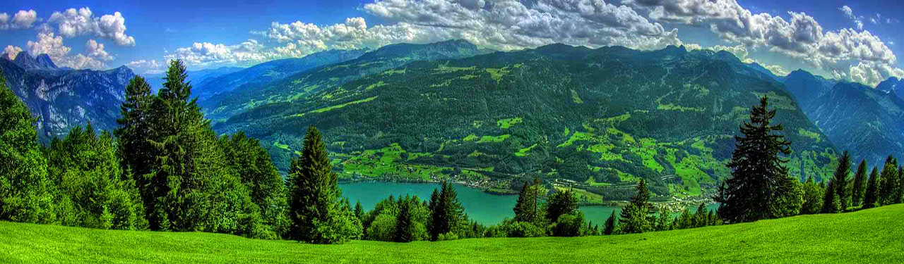 Environmental | METHANOL INSTITUTE